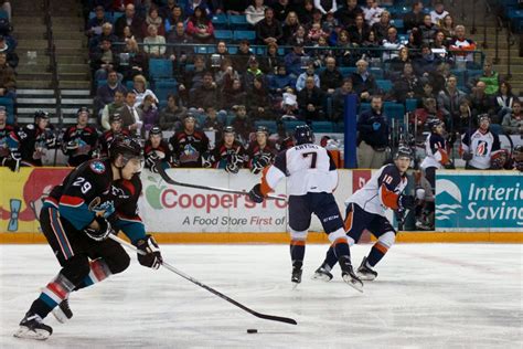 무료 이미지 플레이어 스포츠 볼 게임 단체 경기 라인 하키의 롤러 막대기와 공 게임 대학 아이스 하키 아이스 하키 위치 수비수 굽은 3765x2510