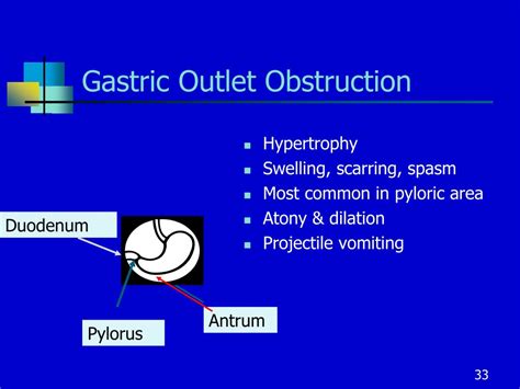 Ppt Management Of The Patient With Digestive Disorders Powerpoint