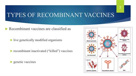 Recombinant Dna Vaccines Ppt