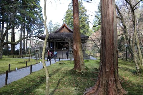 교토 시골마을 오하라 이끼정원 산젠인 네이버 블로그