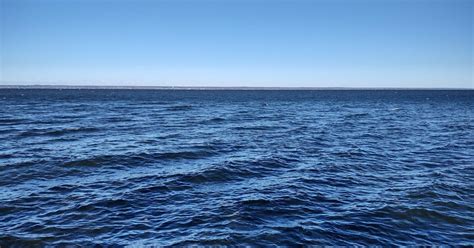 Oneida Lake Walleye Telemetry Pilot Study Cals