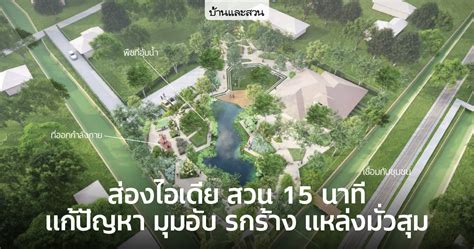 สวน15นาที ส่องไอเดียทั่วกรุงฯ แก้ปัญหา มุมอับ รกร้าง แหล่งมั่วสุม บ้านและสวน