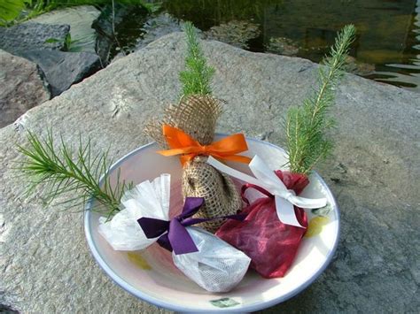 Tree Seedlings From Evergreen Memories Wedding Favors Tree Wedding Favors Seed Wedding