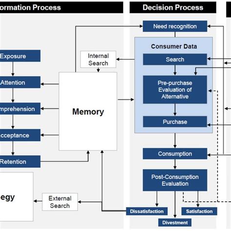 Schematic Illustration Of The Consumer Decision Model The Consumer