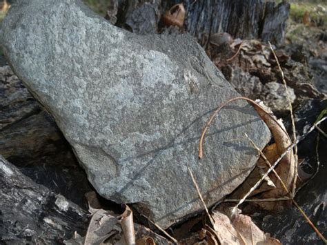 Told Em Stop Trailing Me R Originalopcoufghpack