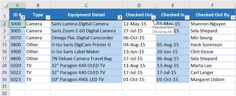 Excel Filtering Data