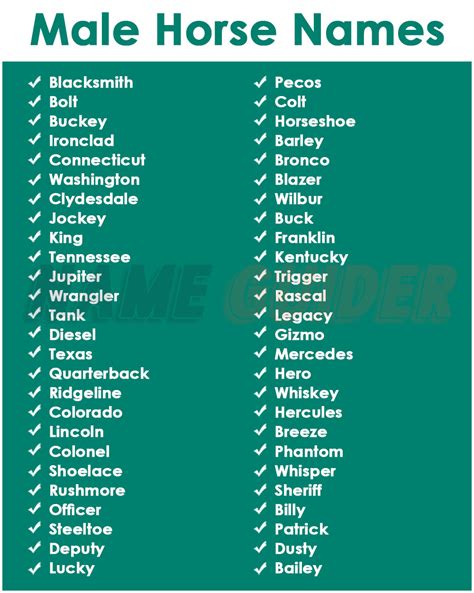 825 Male Horse Names 2023 Name Guider