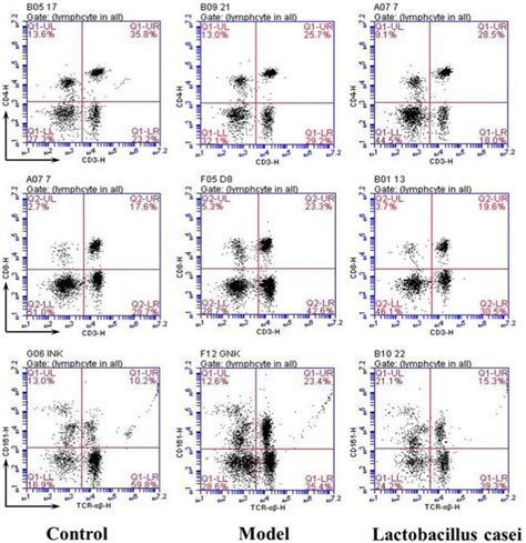 Effects Of L Casei On T Lymphocyte Subsets And Nk Cells Control The