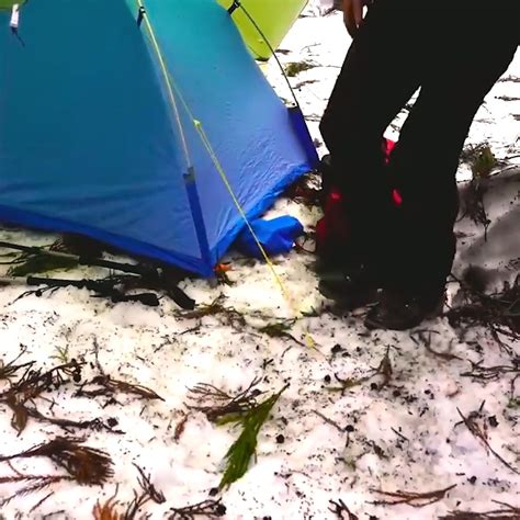 Constructing A Huge Timber Frame Roof For My Off Grid Homestead And