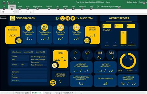 Dashboards Excel Shaheer Shafiq
