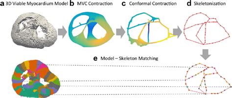The Proposed Pipeline For 3d Skeletonization To Simplify Viable