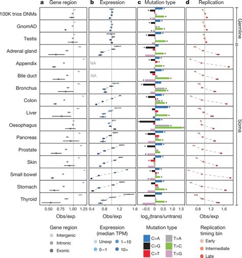 Comparison Of Mutational Biases Between The Germline And The Soma Three Download Scientific