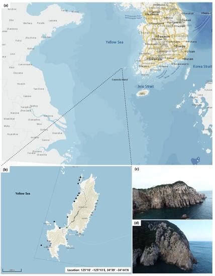 Drones Mdpi On Linkedin Piloting An Unmanned Aerial Vehicle To Explore The Floristic Variations Of…