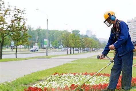 园林绿化工程师证书考证时间、 报考条件、考证流程 考试 相关 要求