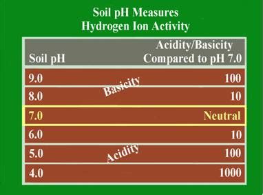 Soil PH And Buffer PH