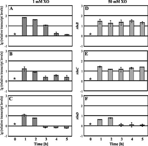 Transcript Levels Of Genes Encoding Xylan Backbone Degrading Enzymes In