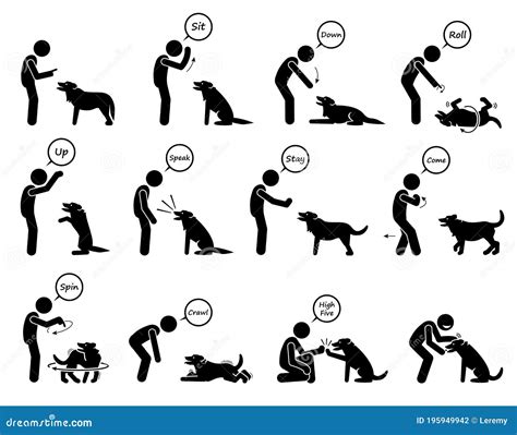 How Do You Teach A Dog Basic Commands