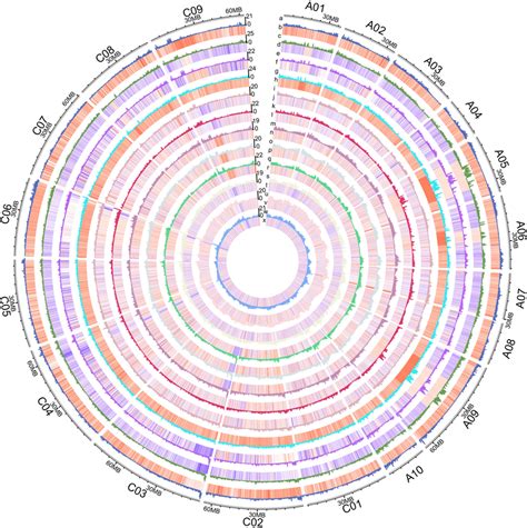 The Overview Of Spatiotemporal Transcriptomic Analysis Of The Different
