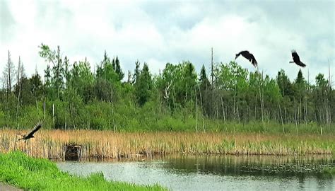 David Pringle David Pringle Added A New Photo