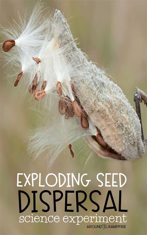 An Insect With The Words Exploding Seed Dispenser On Its Back