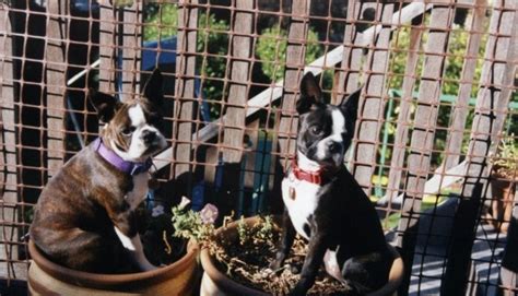 Hidden Bugs In Linkedin