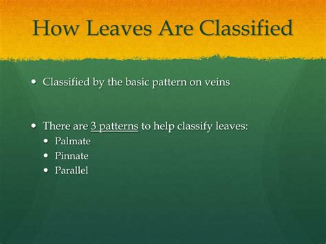 Ppt Leaf Classification Powerpoint Presentation Free Download Id