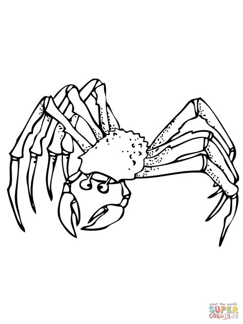 Ghost Crab Clipart Clipground