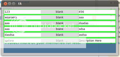 Clipboard How To Allow Data Selection Across Multiple Entry Widgets
