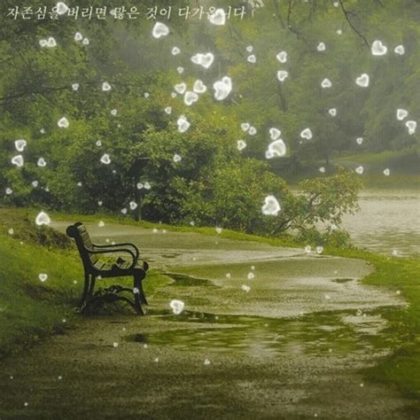 자존심을 버리면 많은 것이 다가옵니다 ★ 사람의 마음은 양파와 같습니다 마음속에 가진 것이라고는 자존심밖에 없으면서 뭔가 대단한 아침편지 좋은글 힐링글