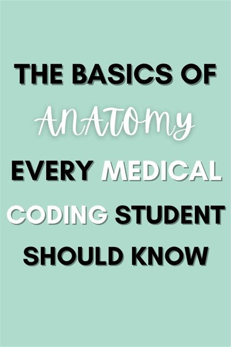 The Basics Of Anatomy Every Medical Coding Student Should Know Artofit