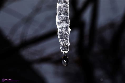 Dripping Icicles