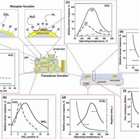 Receptor And Transducer Function Of A Semiconductor Gas Sensor Adapted