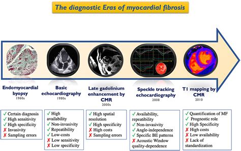 Frontiers Novel Approaches In Cardiac Imaging For Non Invasive