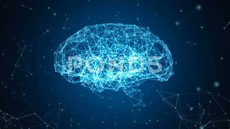 Brain Network Connectivity