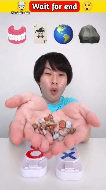 Earth 🌎 Or Stone 🪨🪨🎯 New Viral Gadgets Smart Appliances Kitchen