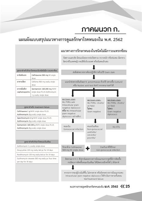 แนวทางการรักษาโรคหนองใน2 Thai Medical Practice Guidelines Facebook