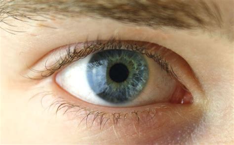 人の目の色は、全部で24種類 日本人は4種類 ！あなたは何番の色？