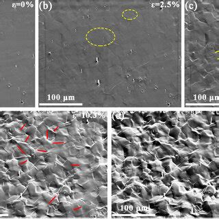 IPF maps of extruded AZ61-1.1Sc alloy at different strains, (a) 0%, (b ...