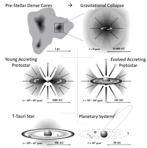 1 Evolutionary Stages For The Formation Of Low Mass Stars Adapted Download Scientific Diagram