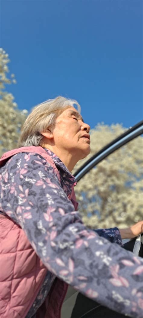 나의 작은 연인 네이버 블로그