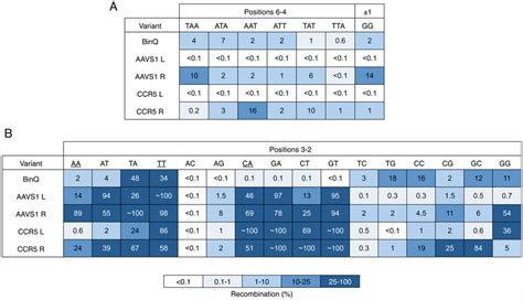 Specificity Analysis Of Redesigned Binq Variants Recombination By