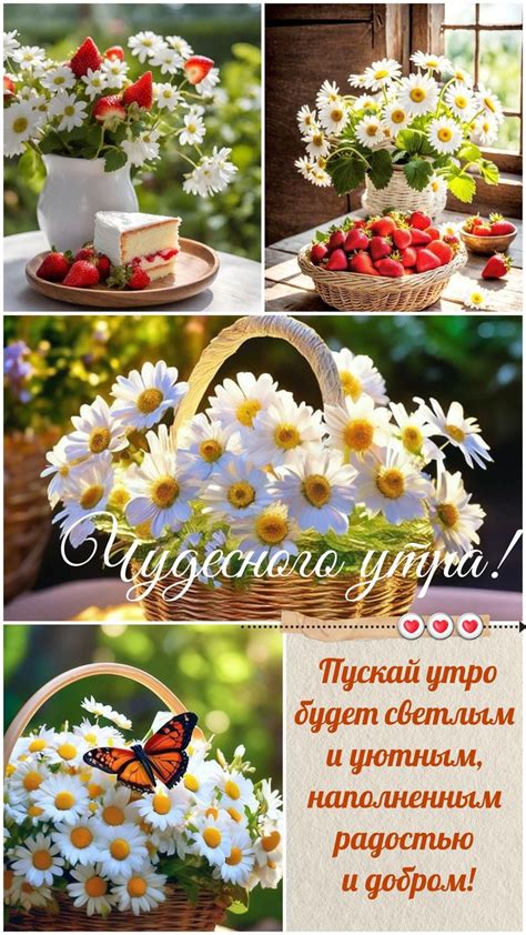 Pin By Ирина Григорьева On Доброе утречко In 2024