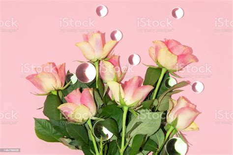 파스텔 핑크 배경에 유리 공이 있는 핑크 장미가 있는 봄 창의적인 레이아웃 80년대 또는 90년대 복고풍 패션 미적 꽃 개념 최소한의 낭만적 인 발렌타인 데이 어머니의 날