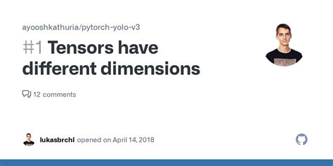 tensors have different dimensions · issue 1 · ayooshkathuria pytorch