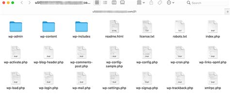 beginner s guide to wordpress file and directory structure