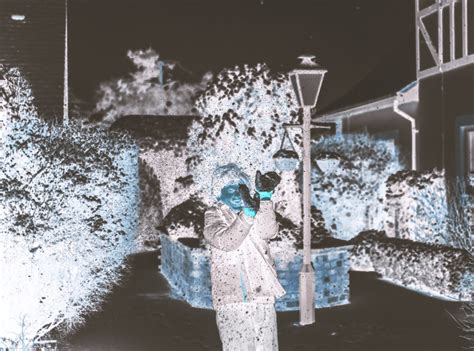 How To Invert The Colors Of An Image In CSS CodeSpeedy