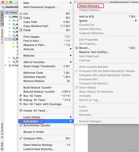 Idea 将本地已有项目 提交到svn12123258的技术博客51cto博客