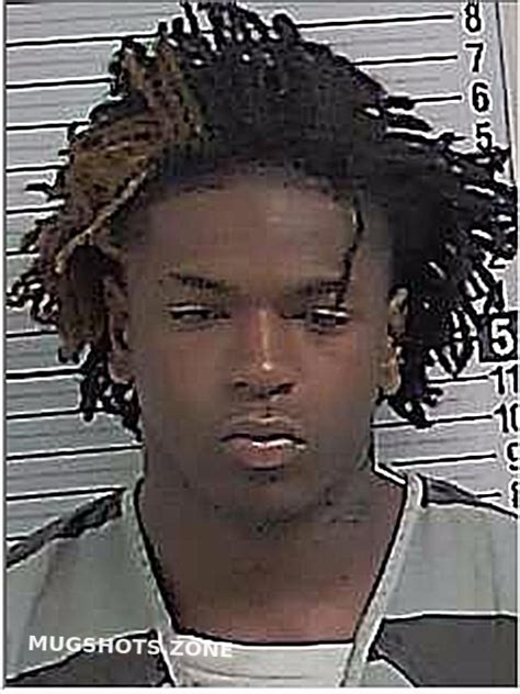 Hughes Jadion Love 04 06 2025 Bay County Mugshots Zone