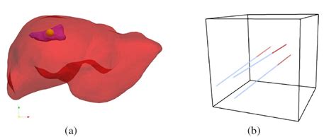 Geometrical Framework A Segmentation Of The Rois From The Download Scientific Diagram