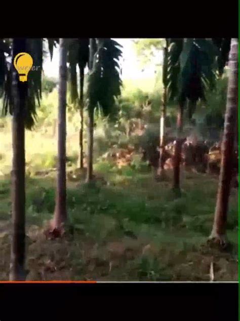 โซล่าเซลล์ ปั๊มซัมเมอร์ส Dcและ 24v250w ราคาโรงงานปั้มซัมเมอร์ส ปั๊มน้ำบาดาล ท่อออก Th